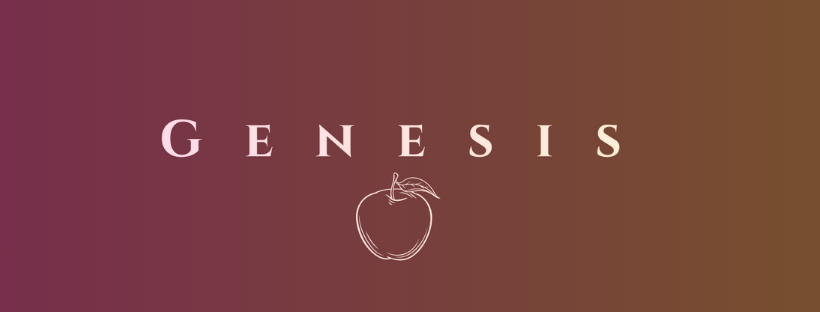 Grace Church, Cambridge : Genesis